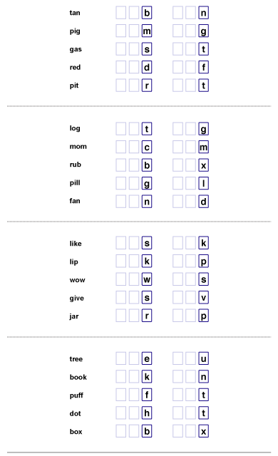 mCLASS:DIBELS - Final Letter Word Strips